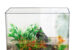 Custom acrylic fish tank